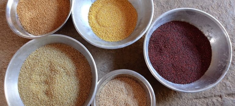 Millet Processing – Catalysetech